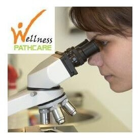 Wellness Pathcare Vitamin B12 Tests, Men Mumbai at Best Price in India ...